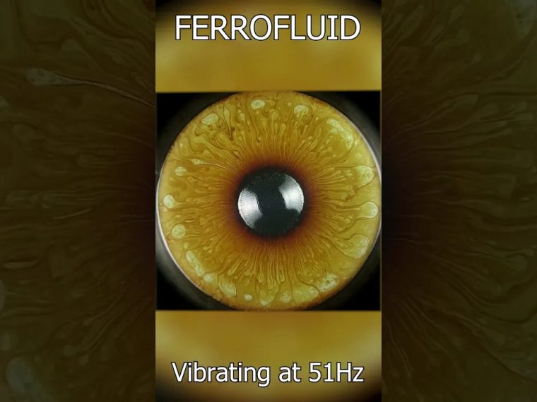 DIY Ferrocell, View Magnetic Fields with Ferrofluid – Magnetic Games