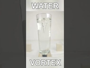 Plasma Vortex in a Magnetic Field – Magnetic Games