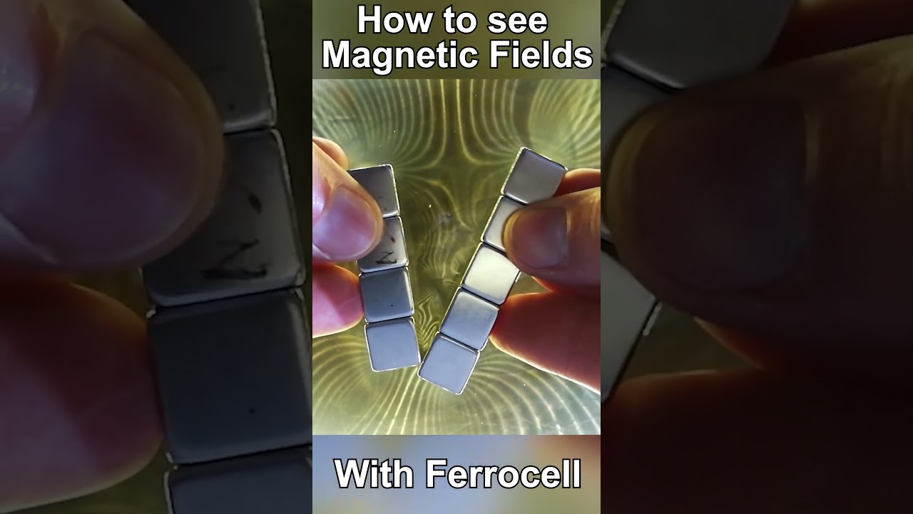 How to see Magnetic Fields with Ferrocell – Magnetic Games
