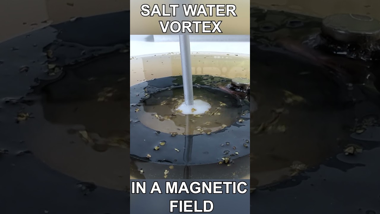 Water Vortex in a Magnetic Field – Magnetic Games