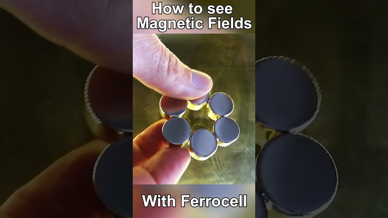 Ferrocell to see the Magnetic Fields – Magnetic Games