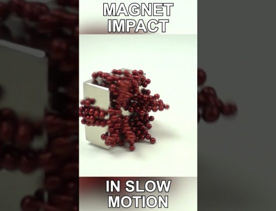 Plasma Vortex in a Magnetic Field – Magnetic Games
