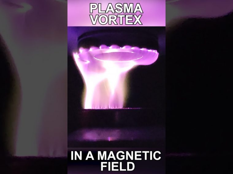 Plasma Vortex in a Magnetic Field – Magnetic Games