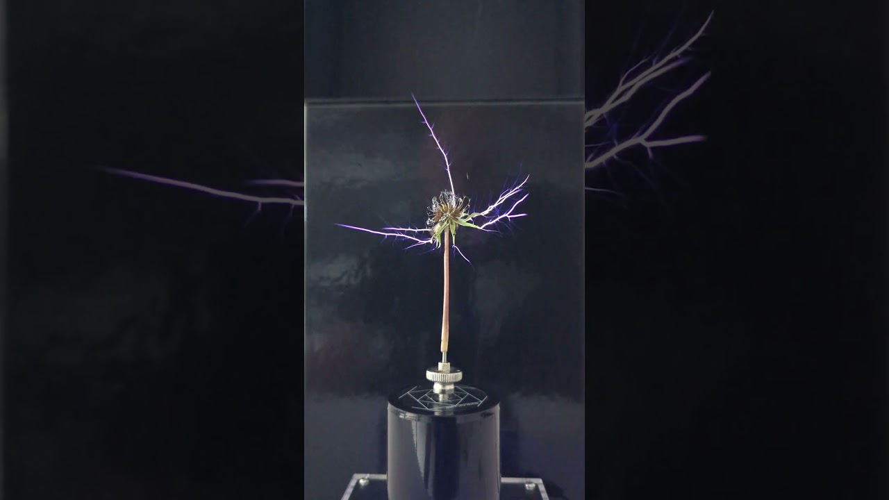 Tesla coil and Fire – Magnetic Games
