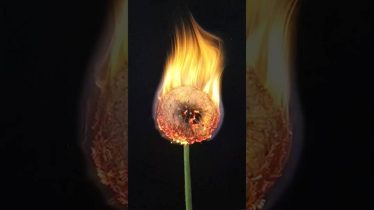 High Voltage Burn – Magnetic Games